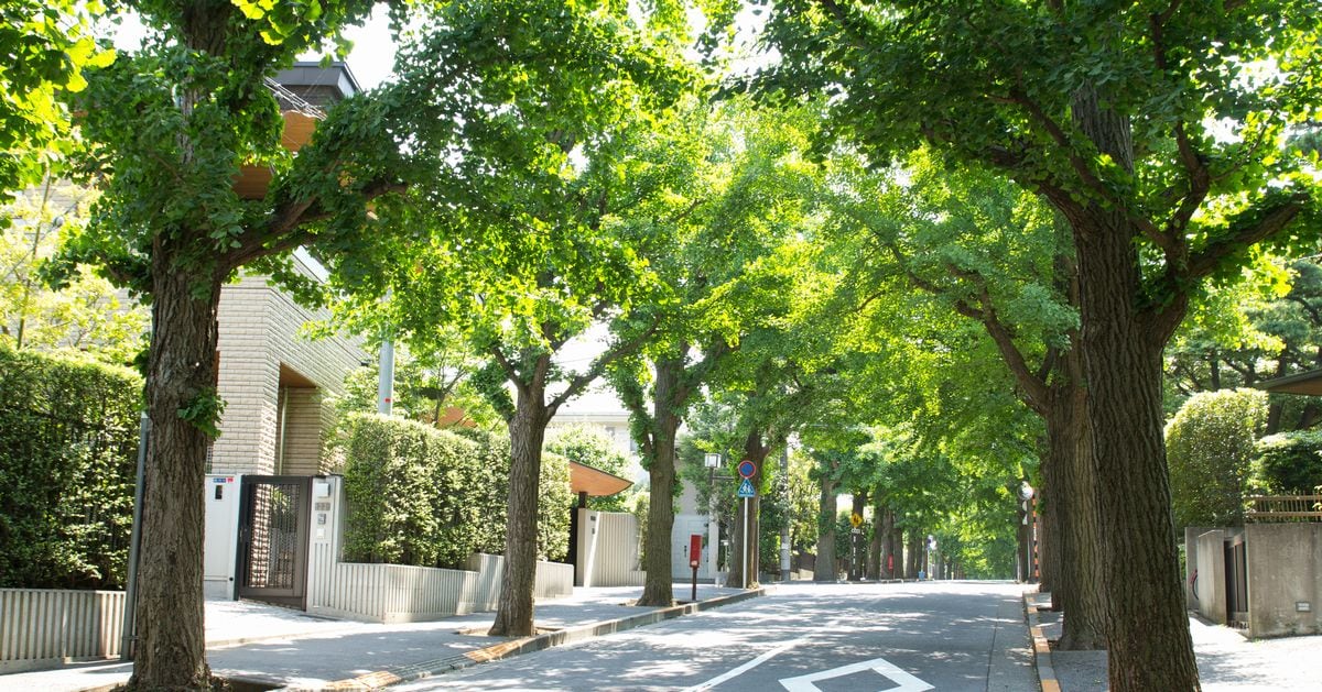 Top 17 Luxury Residential Areas in Tokyo! The Ultimate Neighborhoods ...